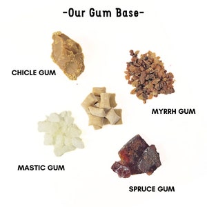 OFFICIAL Nathan & Sons - Underbrush Gum - MASTIC MINT Remineralizing ...