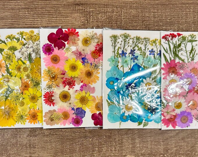 Pressed Flowers- for Junk Journal Embellishments, Crafts, & More - Etsy