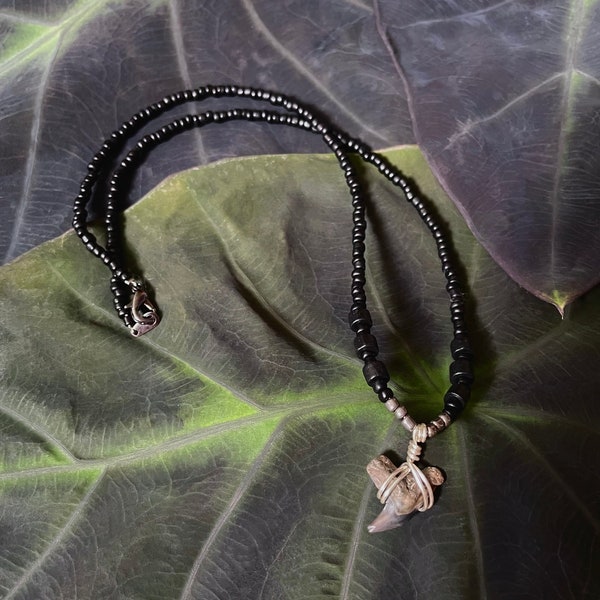 Tiger Tooth Necklace - Etsy