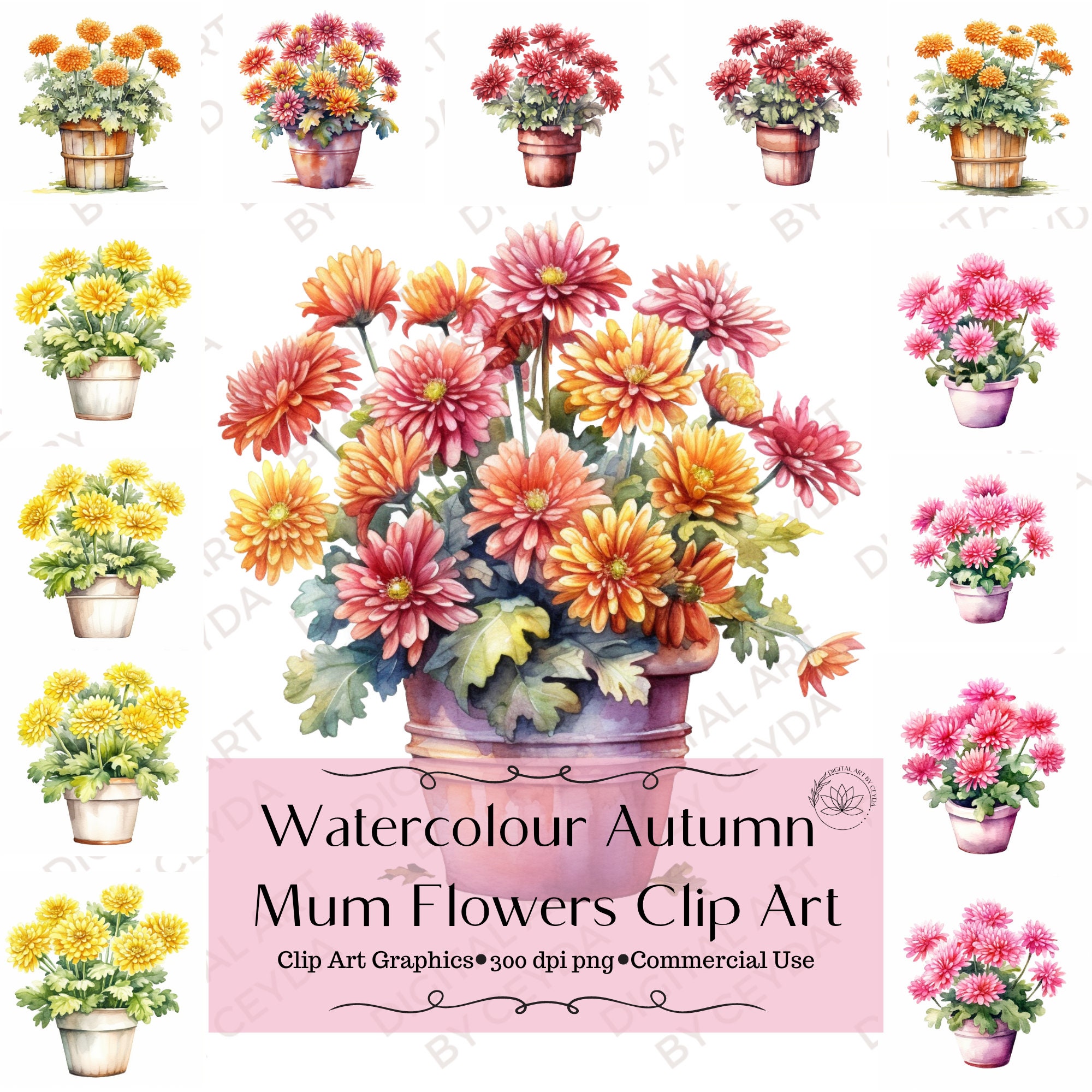 Fall Mums Clip Art