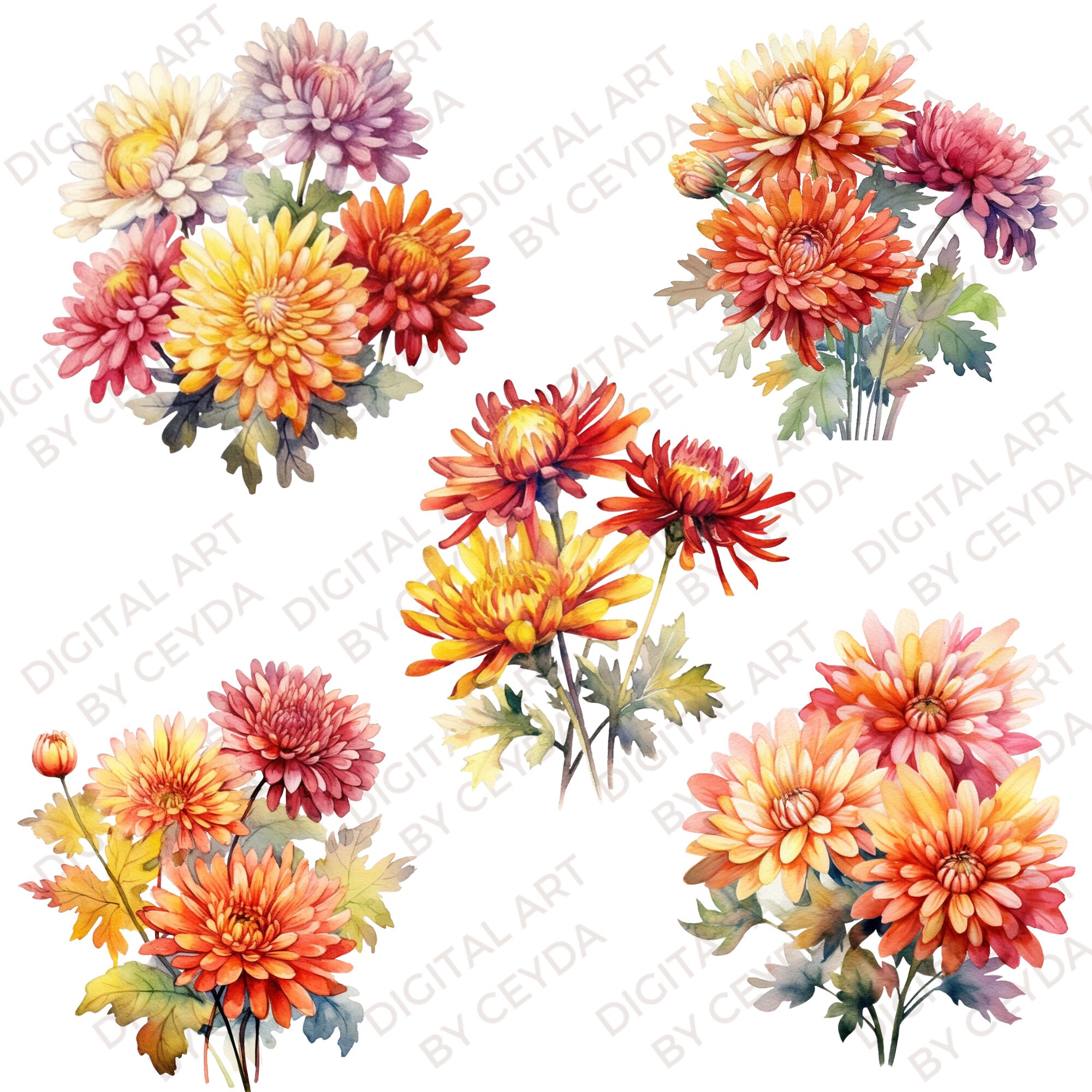 Watercolour Autumn Floral Clip Art Mums chrysanthemums - Etsy