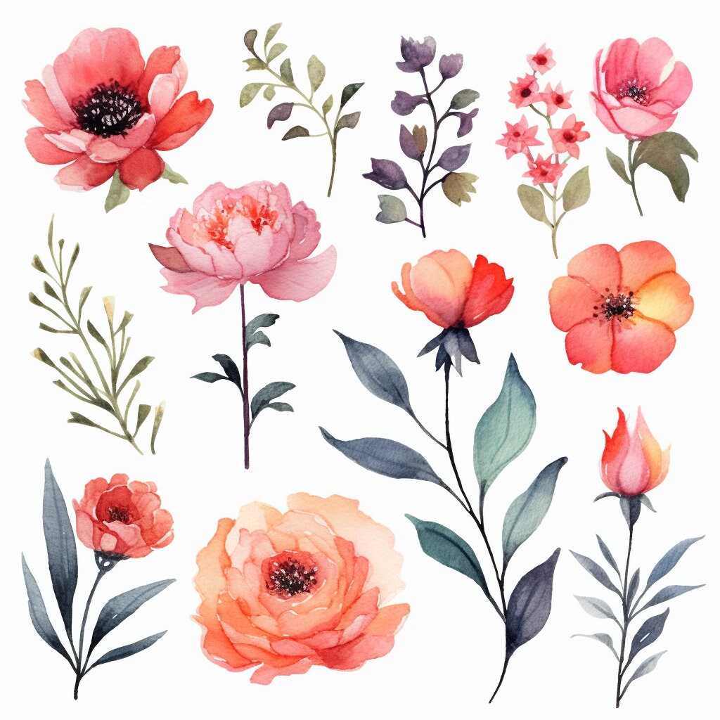 Watercolor Floral Clipart - Etsy