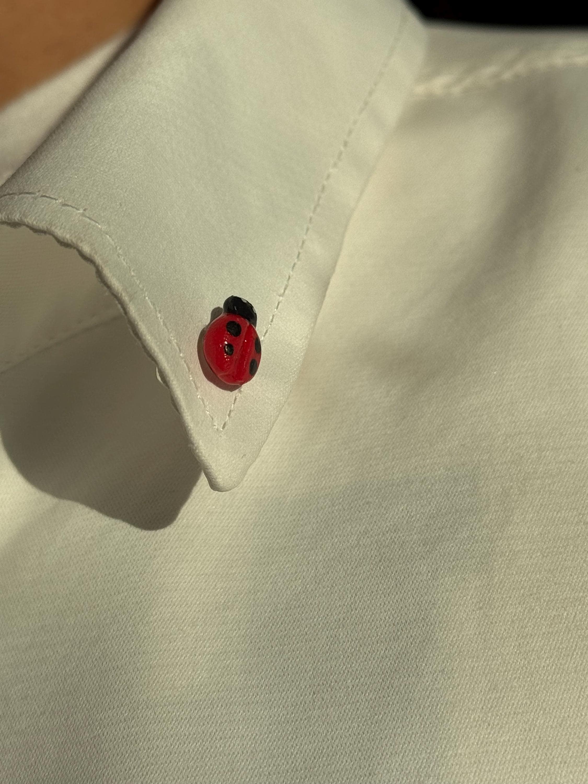 Handmade Ladybug Pin: Lucky Charm Enamel Pin - Etsy