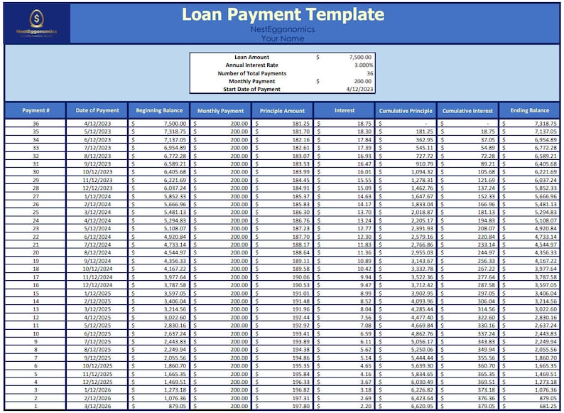 Loan Payment Template - Etsy