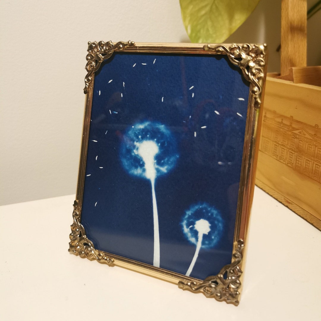 Dandelion Cyanotype in Its Vintage Frame - Etsy