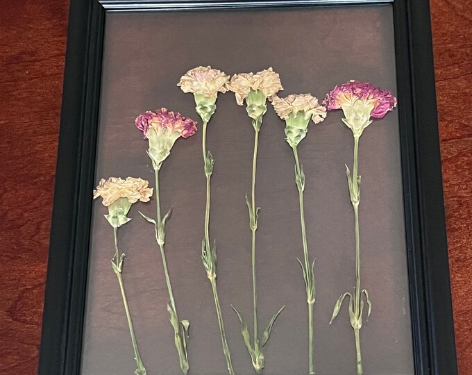 Elegant 11x14 Pressed Flower Frame | Large | Preserved Carnations ...
