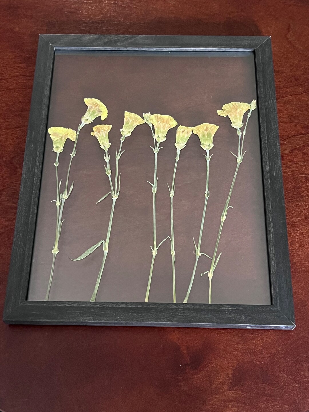 Elegant 11x14 Pressed Flower Frame | Large | Preserved Yellow ...