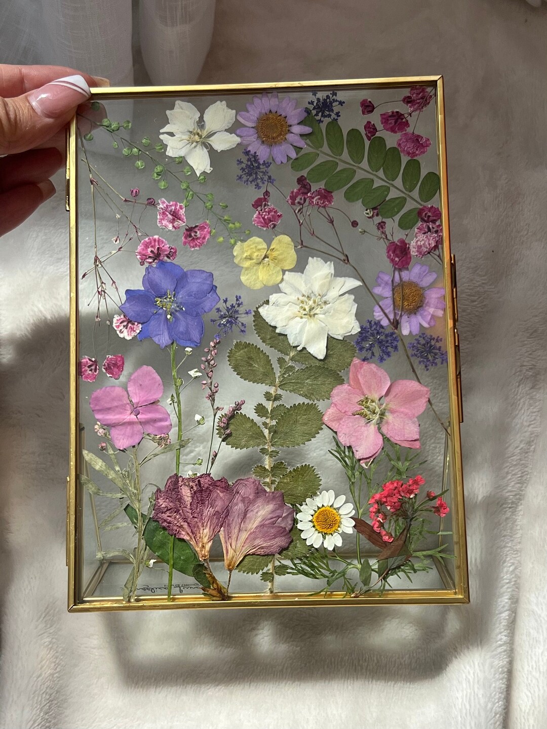 Pressed Colorful Floral Frame 5x7 Botanical Art Collage Preserved ...