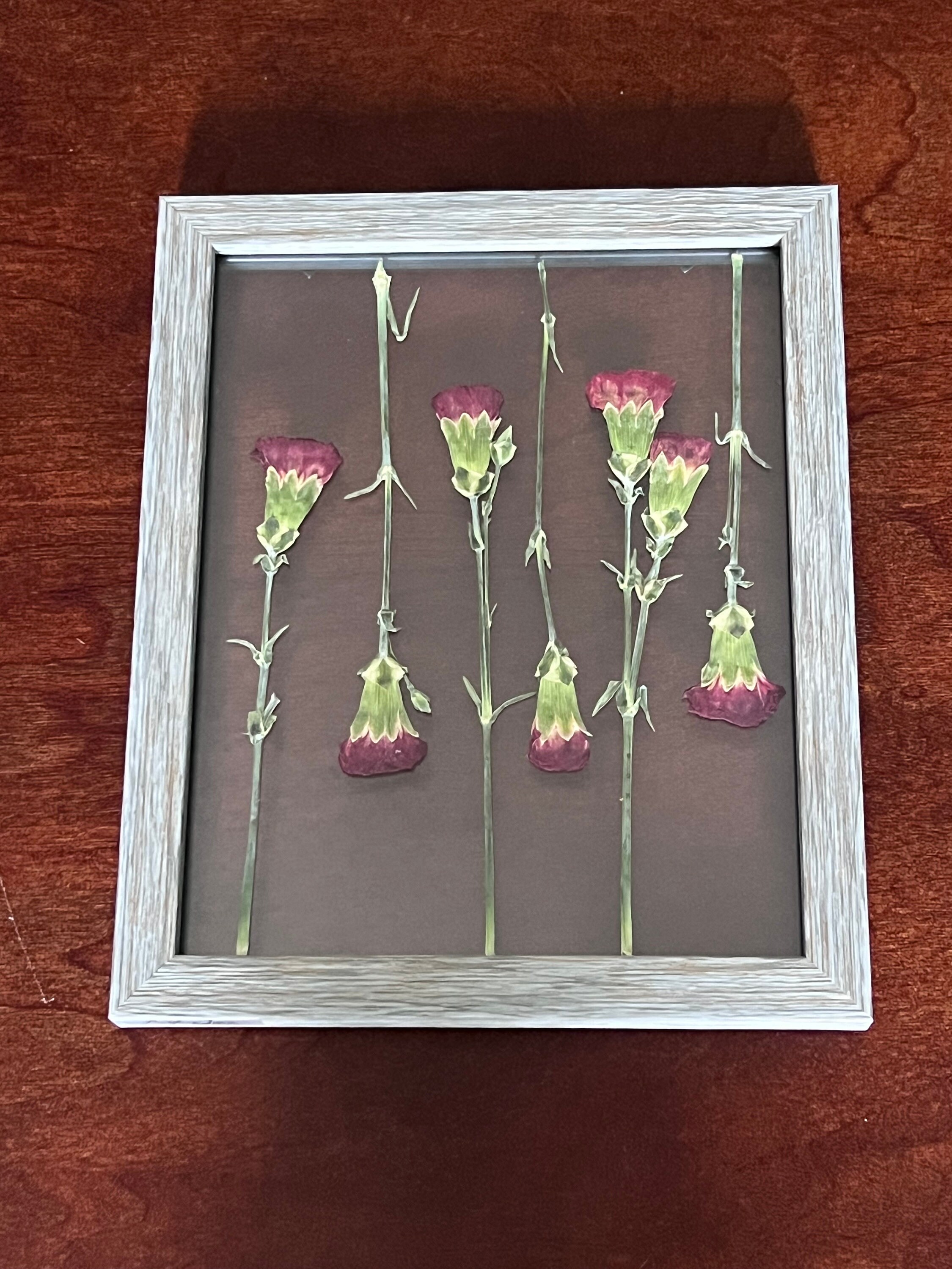 Set of 2 Elegant 8x10 Pressed Flower Frames Preserved Carnations Modern ...