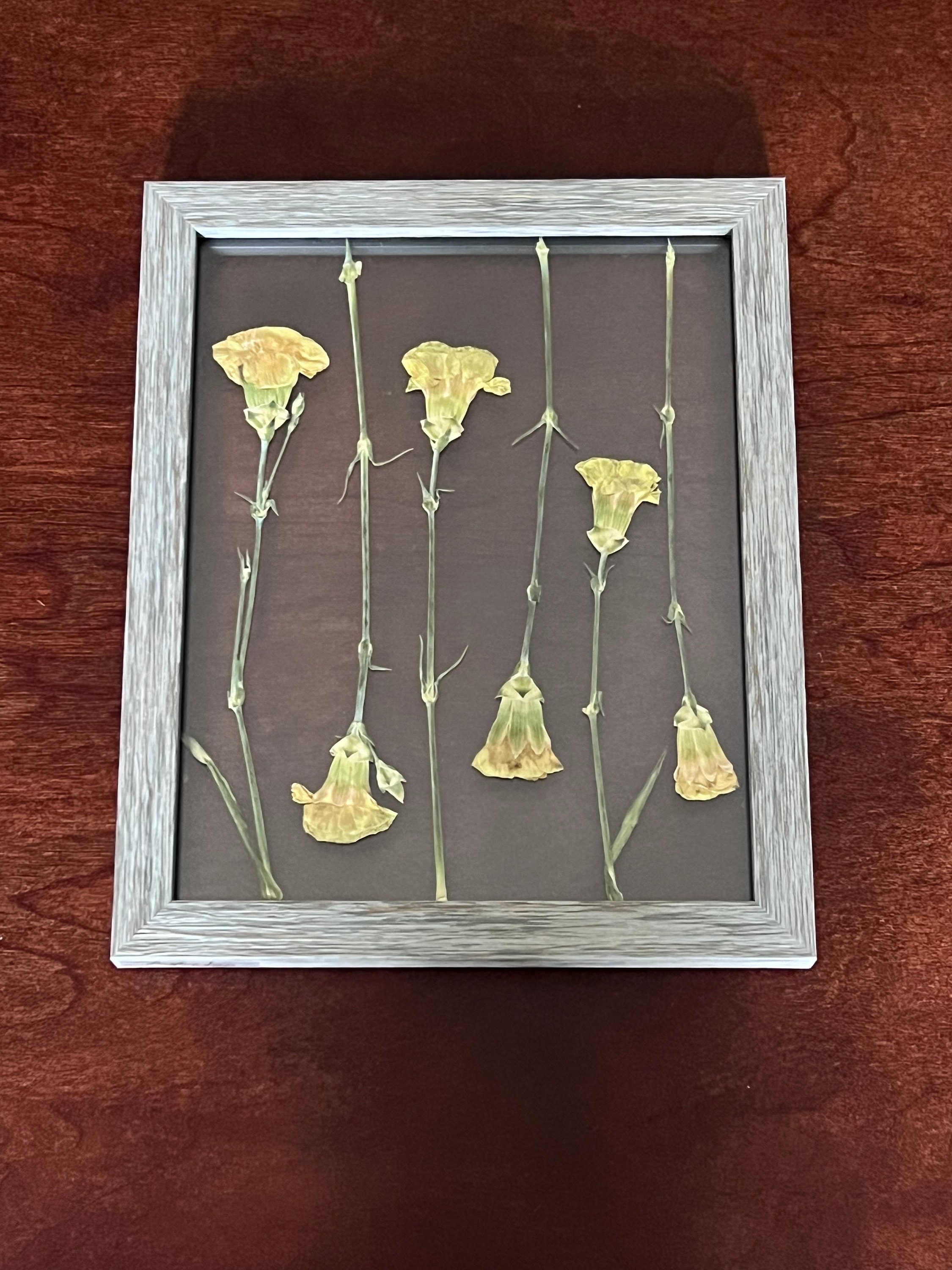 Set of 2 Elegant 8x10 Pressed Flower Frames Preserved Carnations Modern ...