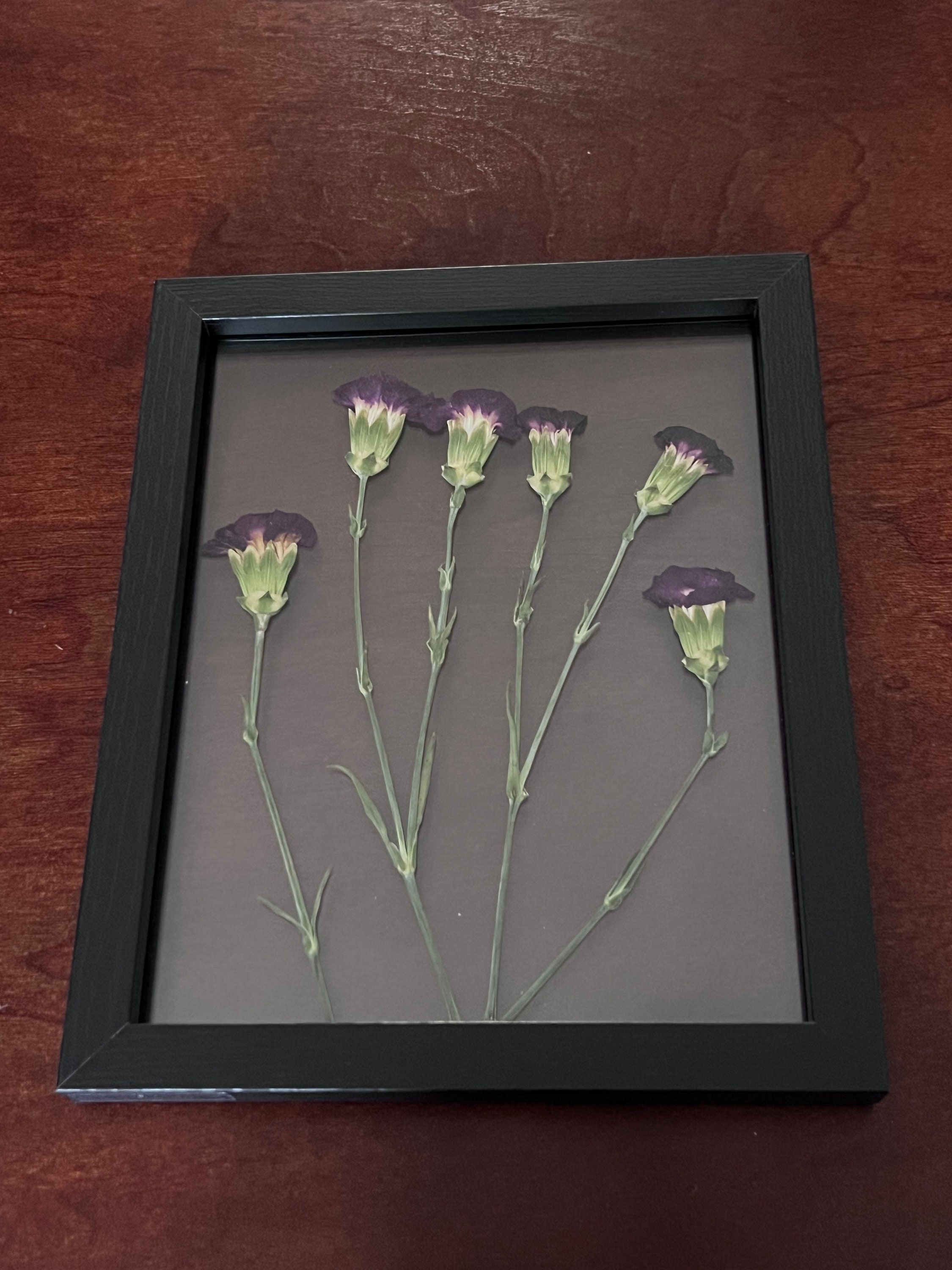 Elegant 8x10 Pressed Flower Frame Preserved Carnations Flower Art Home ...