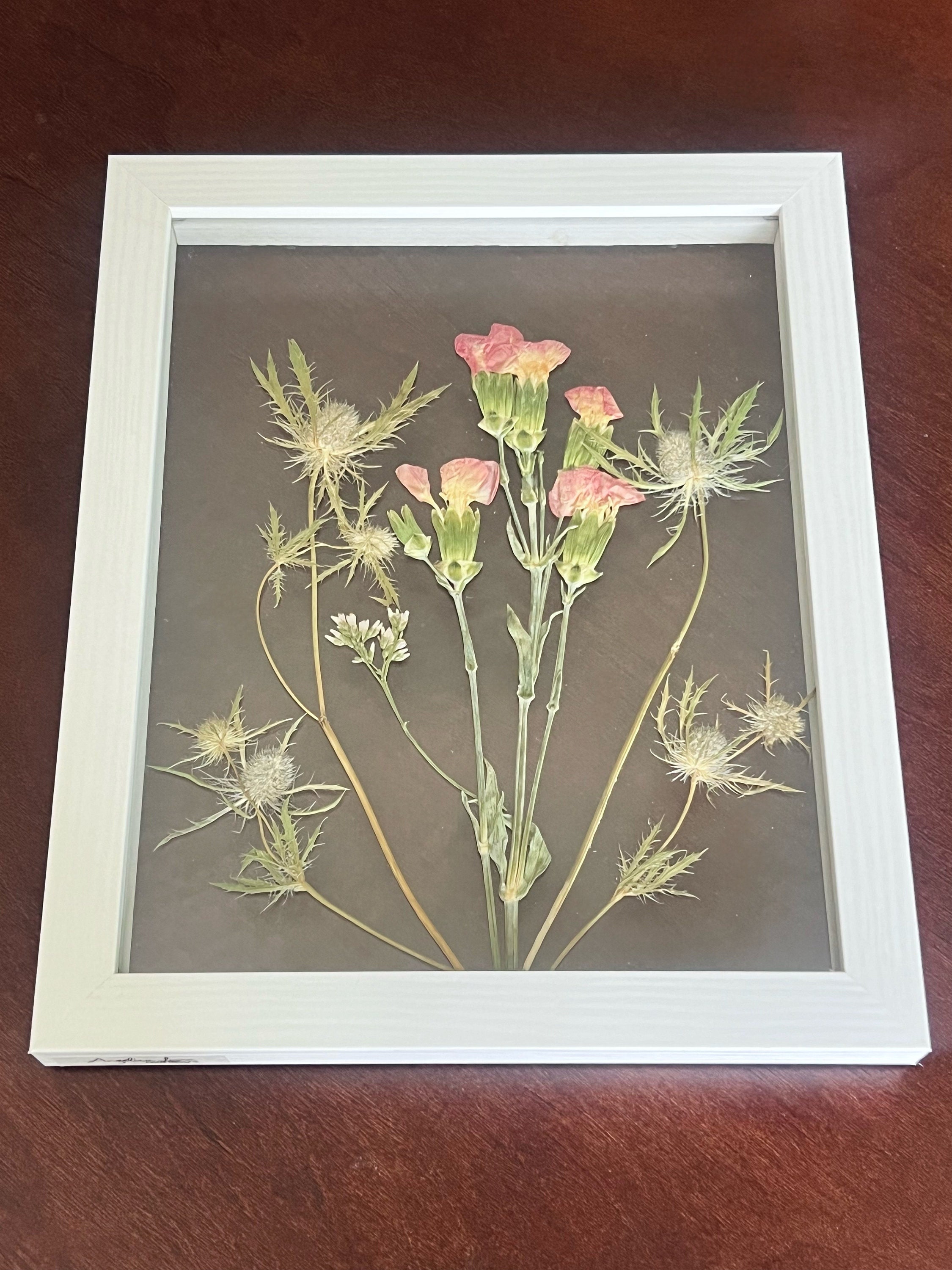 8x10 Pressed Flower Frame Preserved Carnations Flower Art Home Decor ...