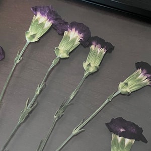 Elegant 8x10 Pressed Flower Frame | Preserved Carnations | Flower Art ...