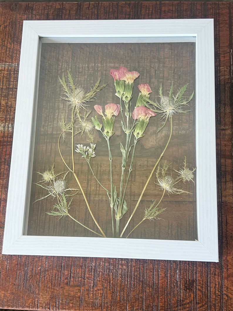 8x10 Pressed Flower Frame Preserved Carnations Flower Art Home Decor Wall Frame Dried Thistle ...