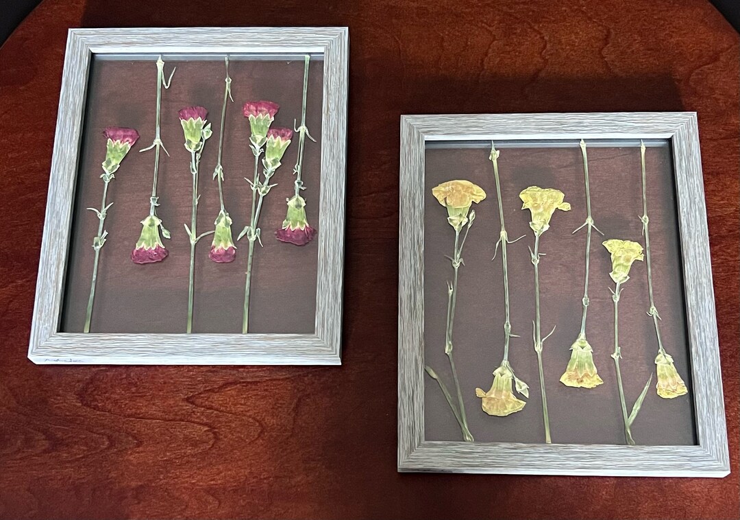 Set of 2 | Elegant 8x10 Pressed Flower Frames | Preserved Carnations ...
