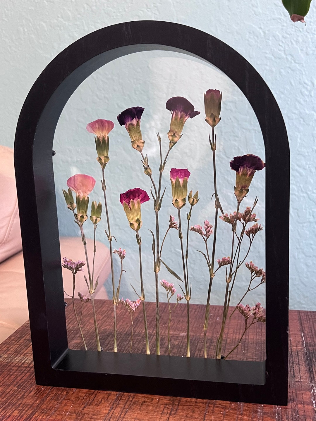Pressed Carnation Floral Frame: Black Arched Wood, Floating Glass (12x9 ...