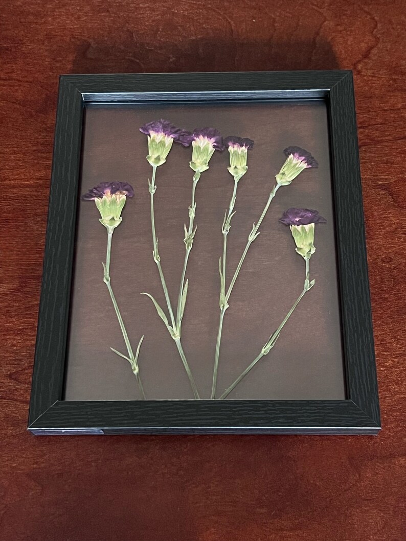 Elegant 8x10 Pressed Flower Frame Preserved Carnations Flower Art Home ...