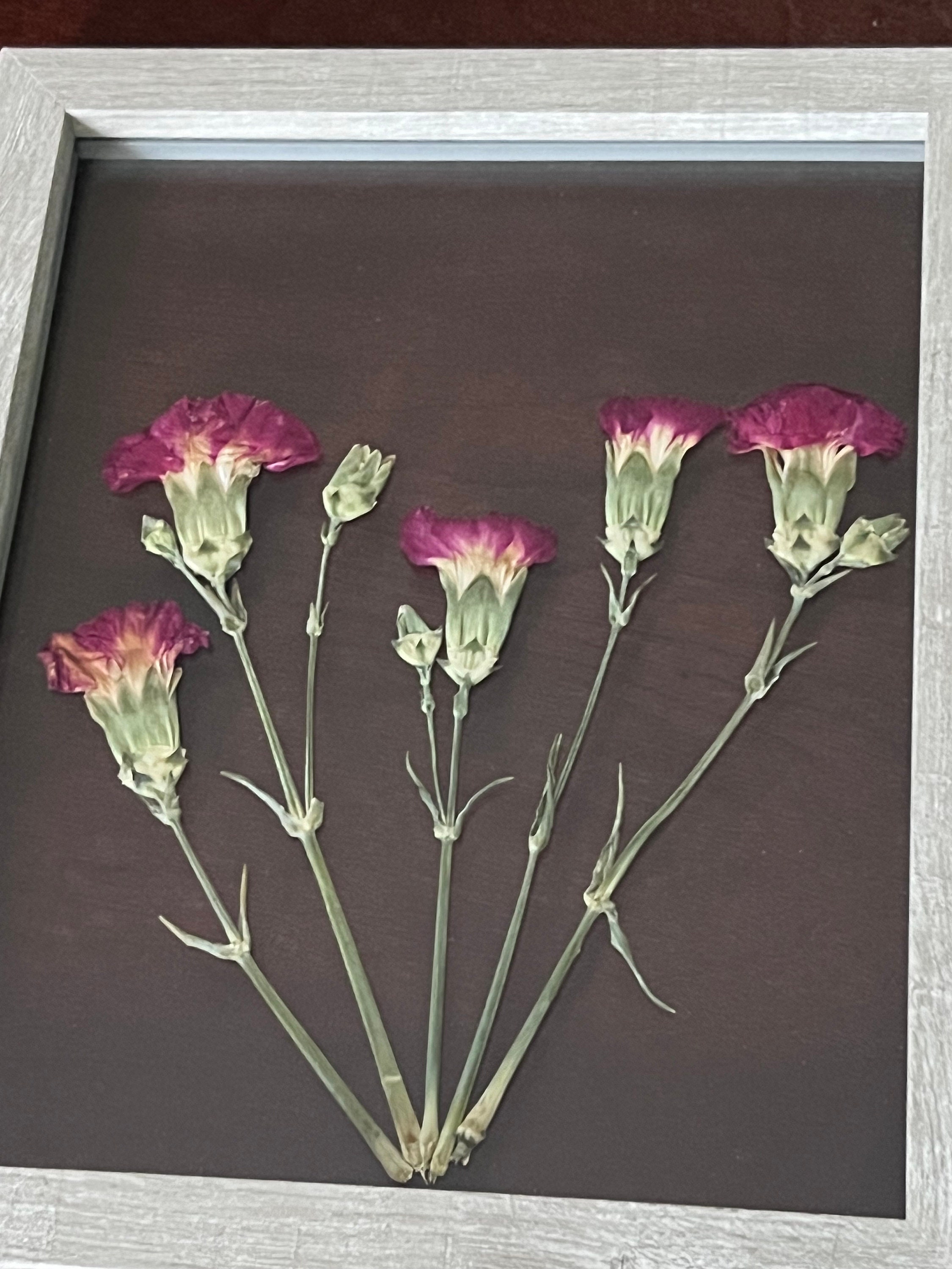 Elegant 8x10 Pressed Flower Frame Preserved Carnations Flower Art Home ...