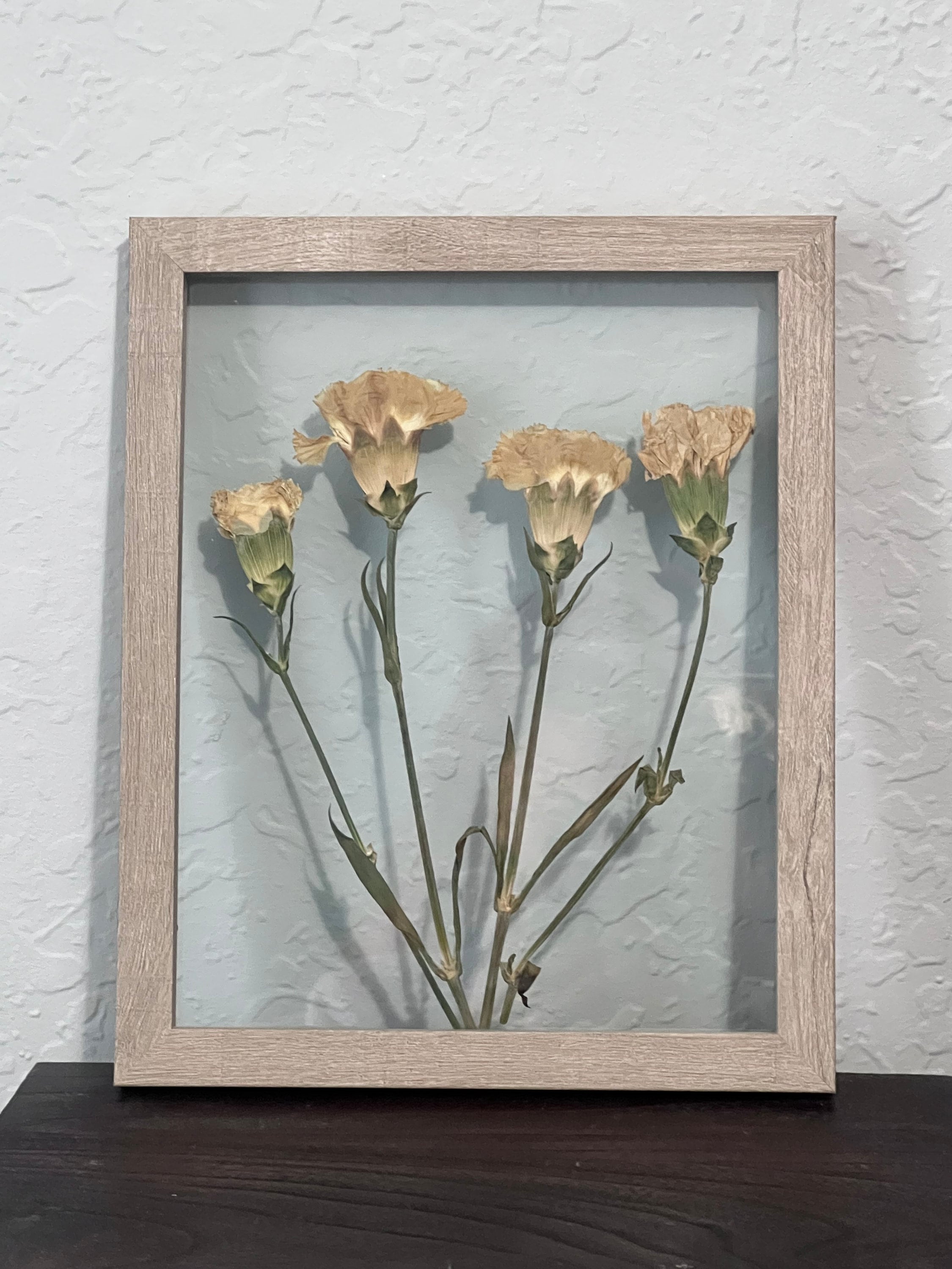 Elegant 8x10 Pressed Flower Frame Preserved Carnations Flower Art Home ...