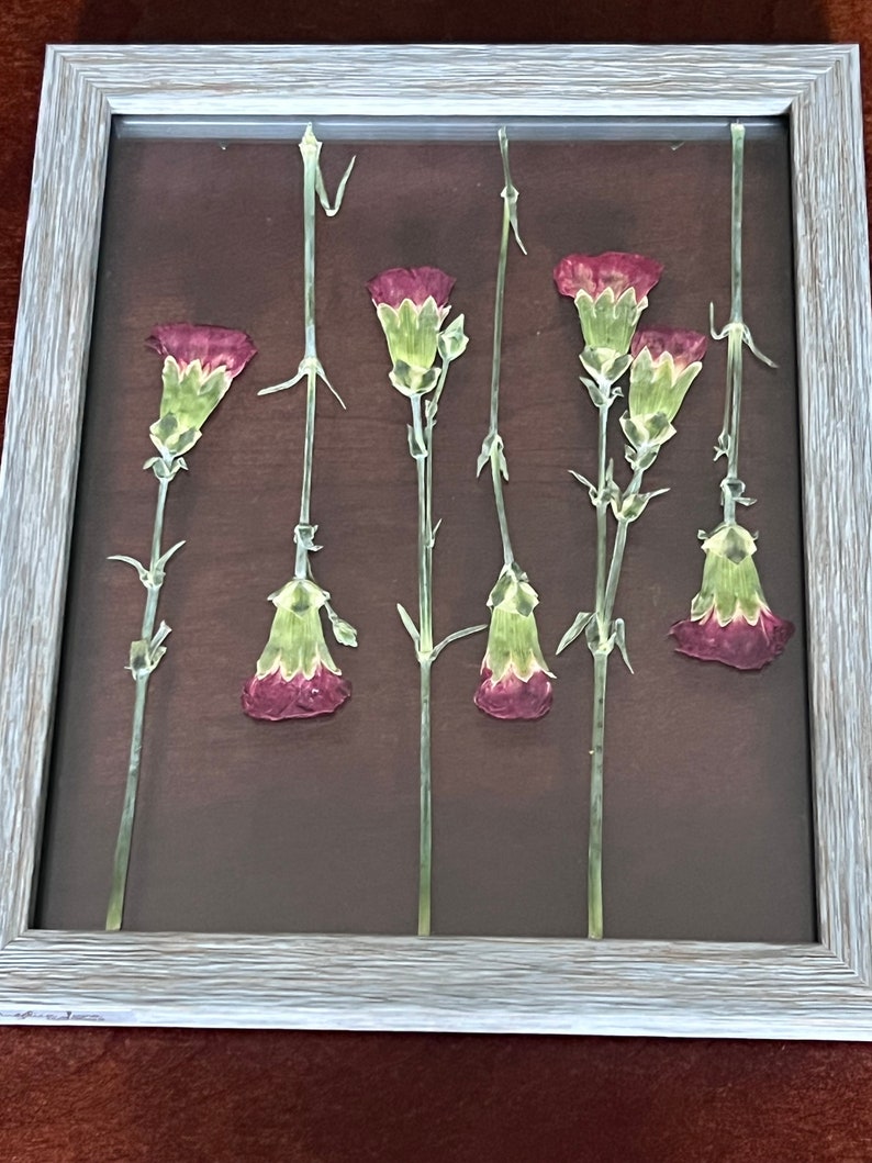 Set of 2 Elegant 8x10 Pressed Flower Frames Preserved Carnations Modern ...