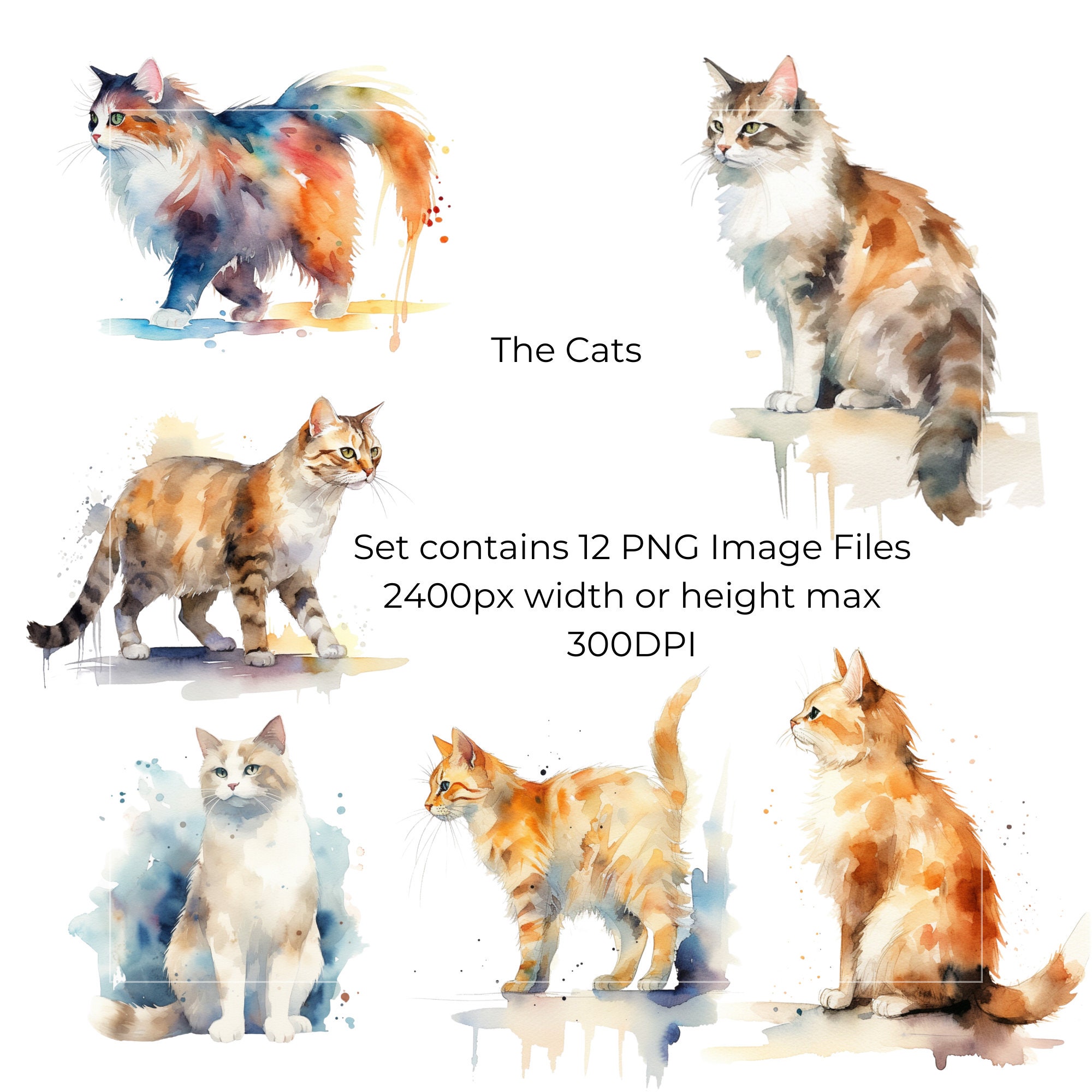 Watercolor Cats and Kittens Clipart PNG Transparent - Etsy
