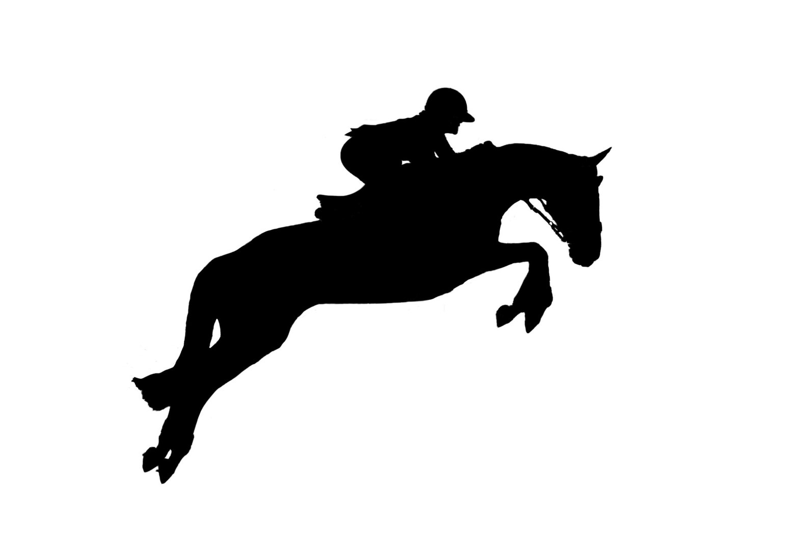Show Jumping Horse PNG Digital File, Clip Art - Etsy