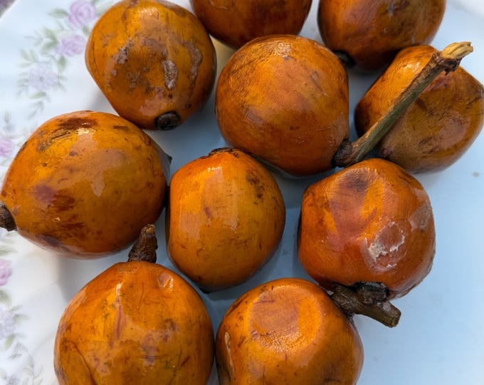 1 Dozen Sweet African Agbalumo - Udara -african Star Apple - Etsy