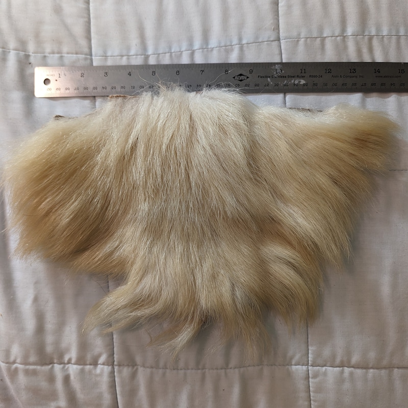 Grizzly Bear Fur - Etsy