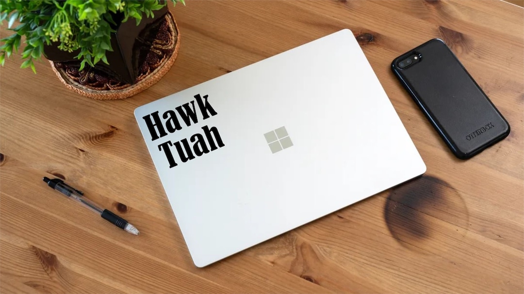 Hawk Tuah Decal Sticker Vinyl Different Colors and Sizes - Etsy