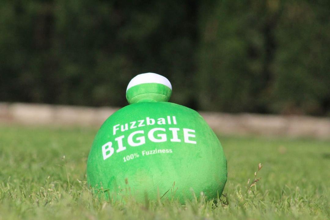 Buzzballz Plush Toy Buzzballz Pillow Buzzballz Pillow Buzzballz Toy ...