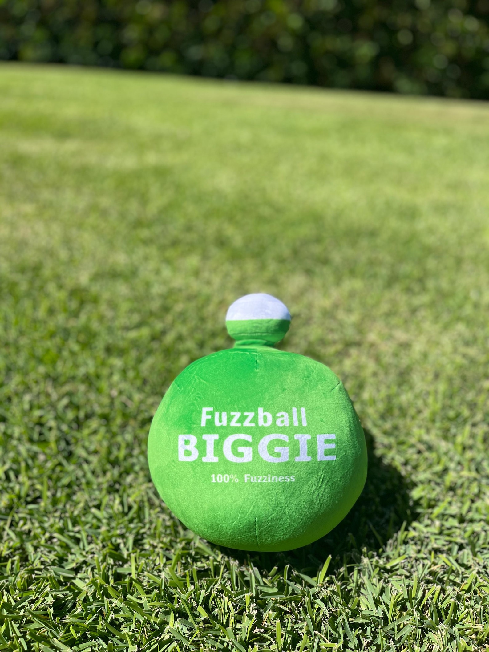 Buzzballz Plush Toy Buzzballz Pillow Buzzballz Pillow Buzzballz Toy ...