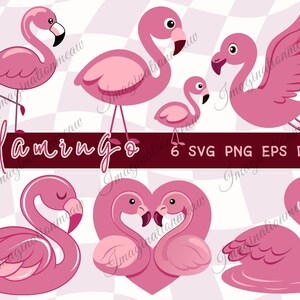 Flamingo SVG Bundle, Cute Flamingo Clipart, Tropical Bird Digital Art ...