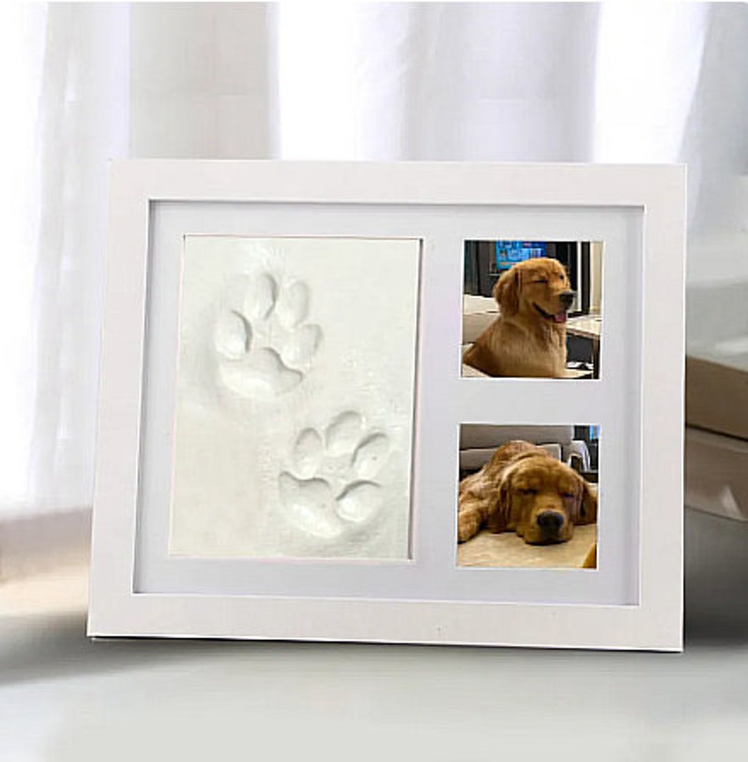 Pet Loss Memorial Paw Picture Frame Kit - Etsy