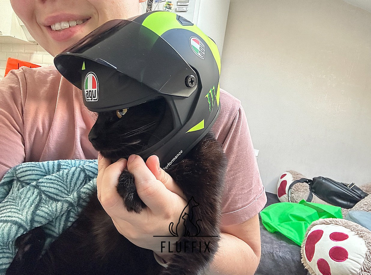 Animal Motorcycle Helmet