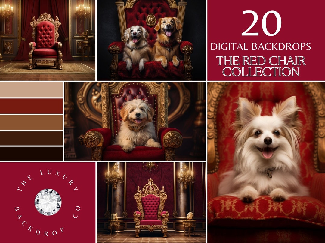 Red Digital Backdrops for Pets Cats and Dogs Background - Etsy