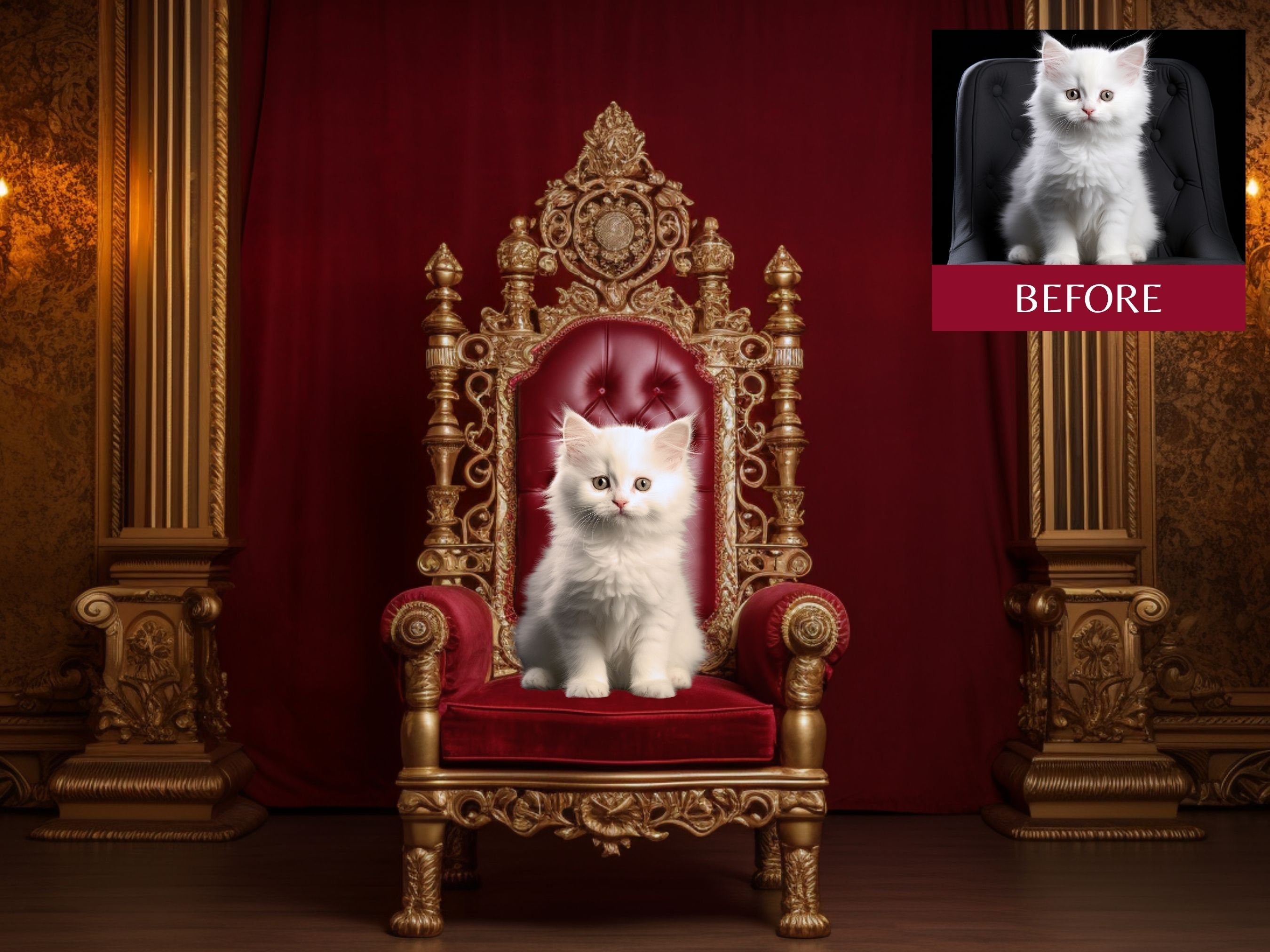 Red Digital Backdrops for Pets Cats and Dogs Background - Etsy