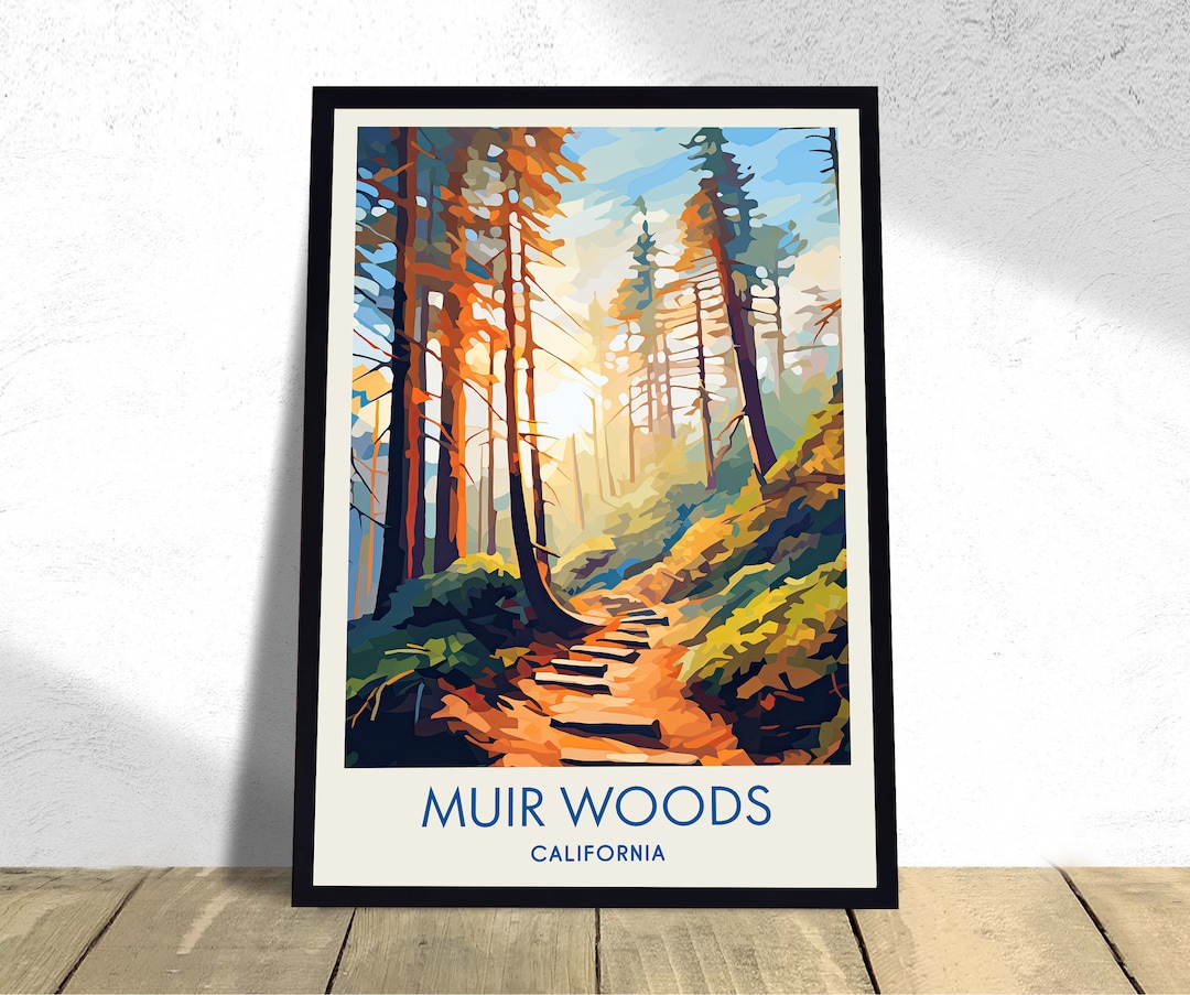 Muir Woods Poster Muir Woods Print California Poster Muir - Etsy