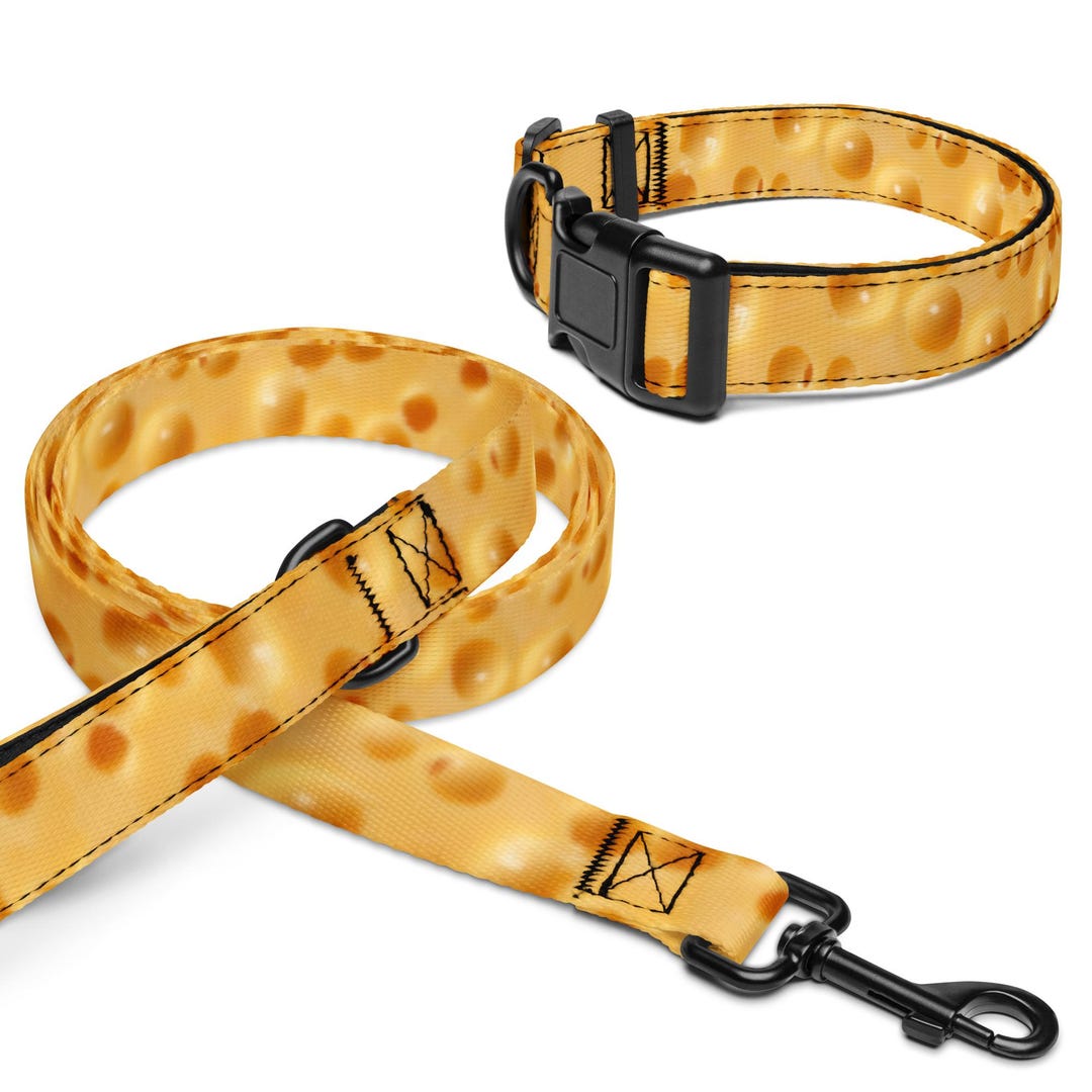 Swiss Cheese Dog Collar & Leash Set: Funny Food Print Accessories - Etsy