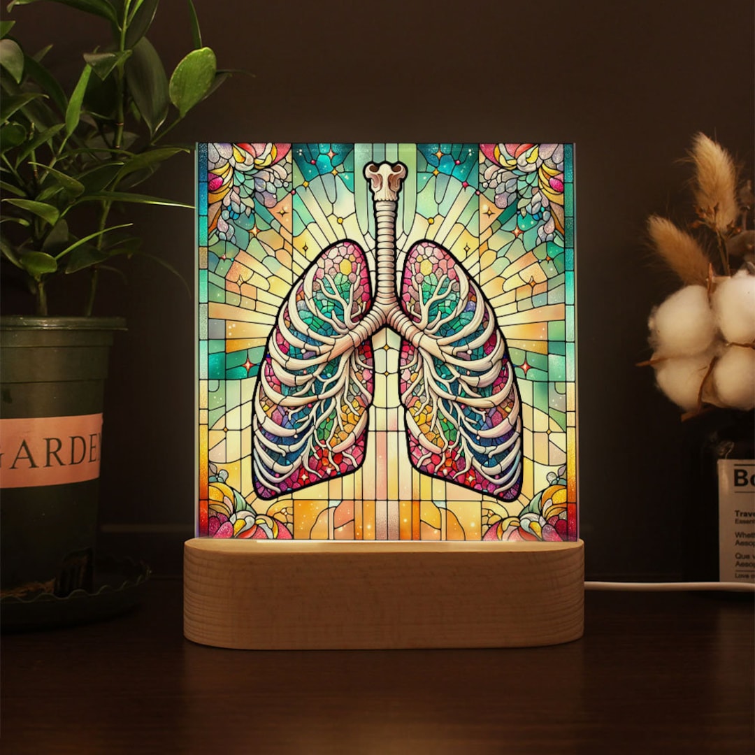 Anatomical Lung Stained Glass Style Art Led Light Night, Respiratory ...