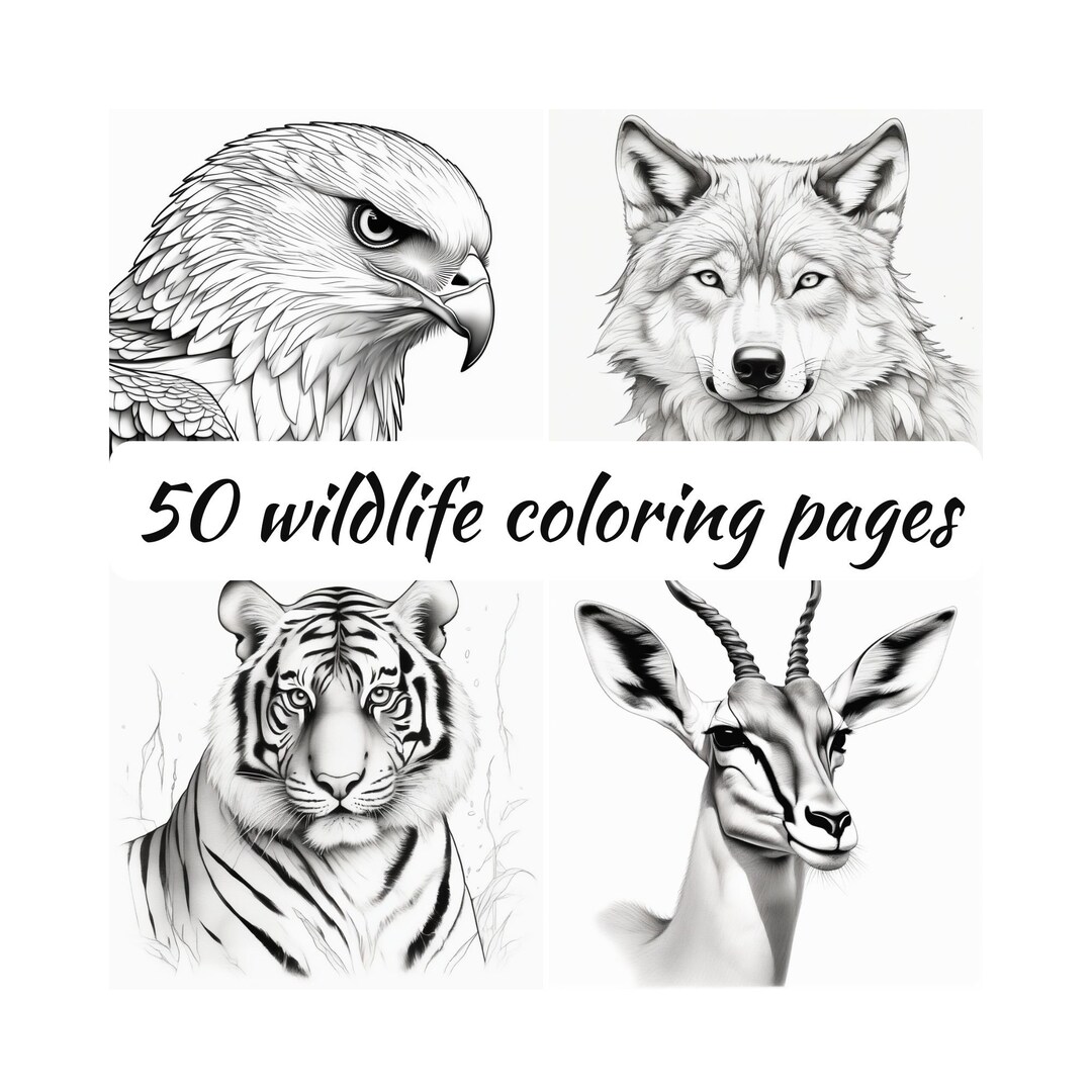 50 Wild Animal Coloring Page |jungle Animals Coloring Book | Adults and ...