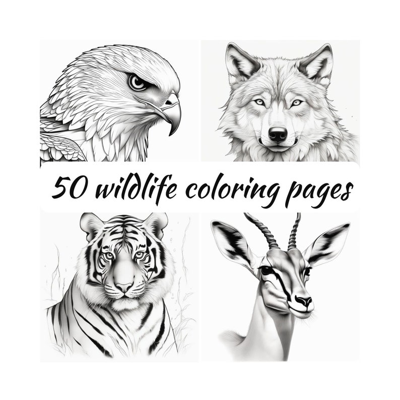 50 Wild Animal Coloring Page jungle Animals Coloring Book Adults and ...