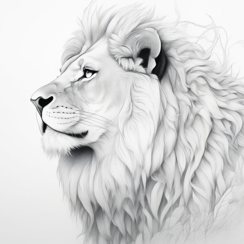 50 Wild Animal Coloring Page jungle Animals Coloring Book Adults and ...