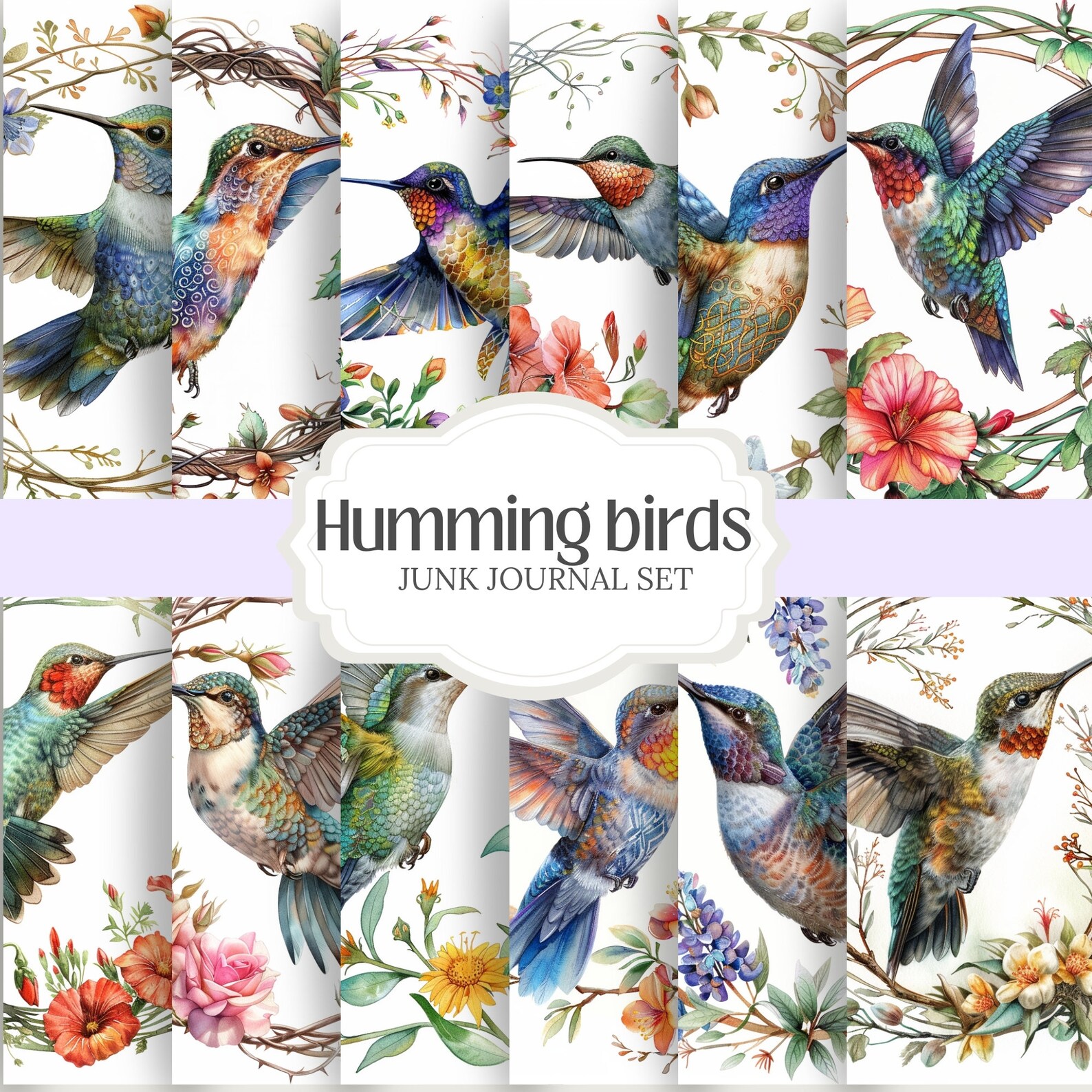 Hummingbird Png Spring Birds Digital Celtic Grimoire Clipart Wallpaper ...
