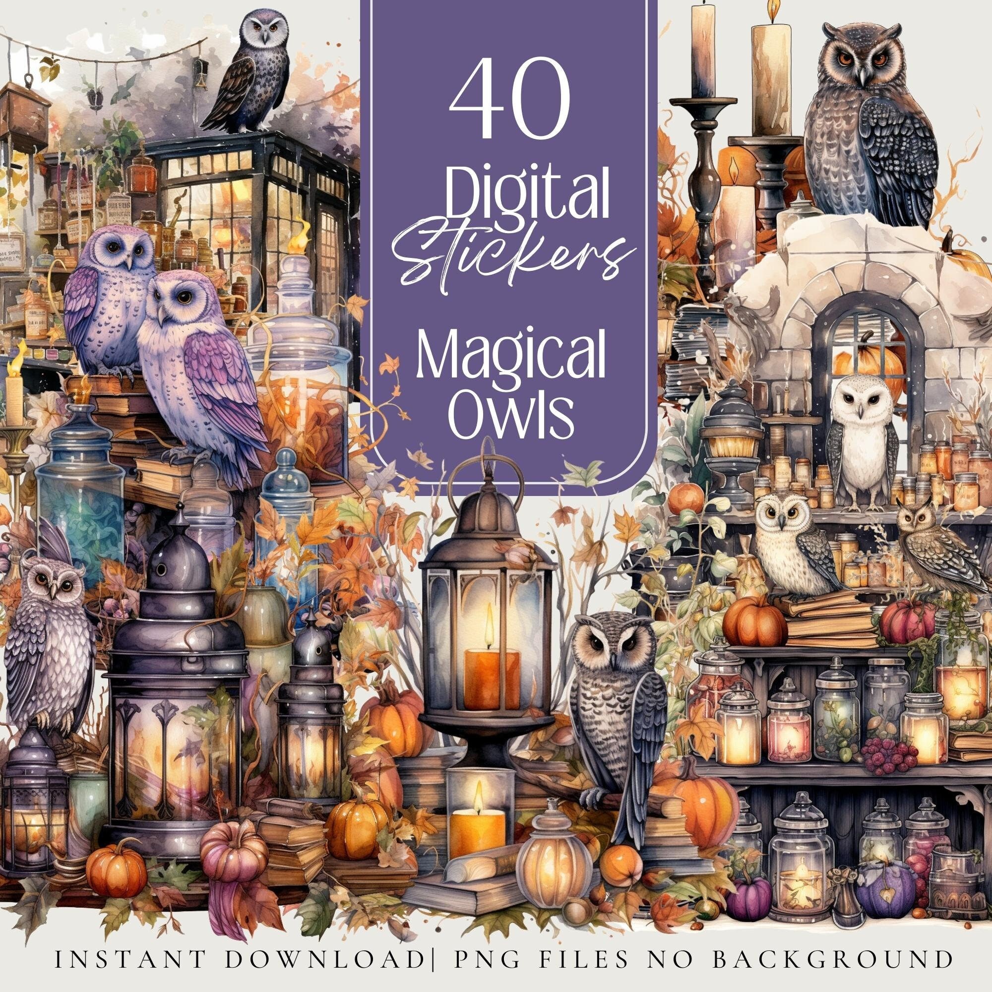 Magical Owls Witch Clipart Witchy Planner Stickers Wallpaper - Etsy