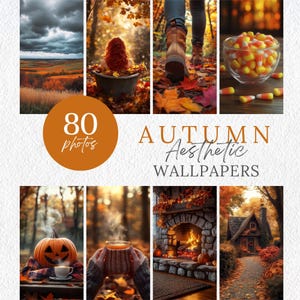 Fall Stock Photos for Instagram Cozy Autumn Aesthetic Wallpapers PNG ...