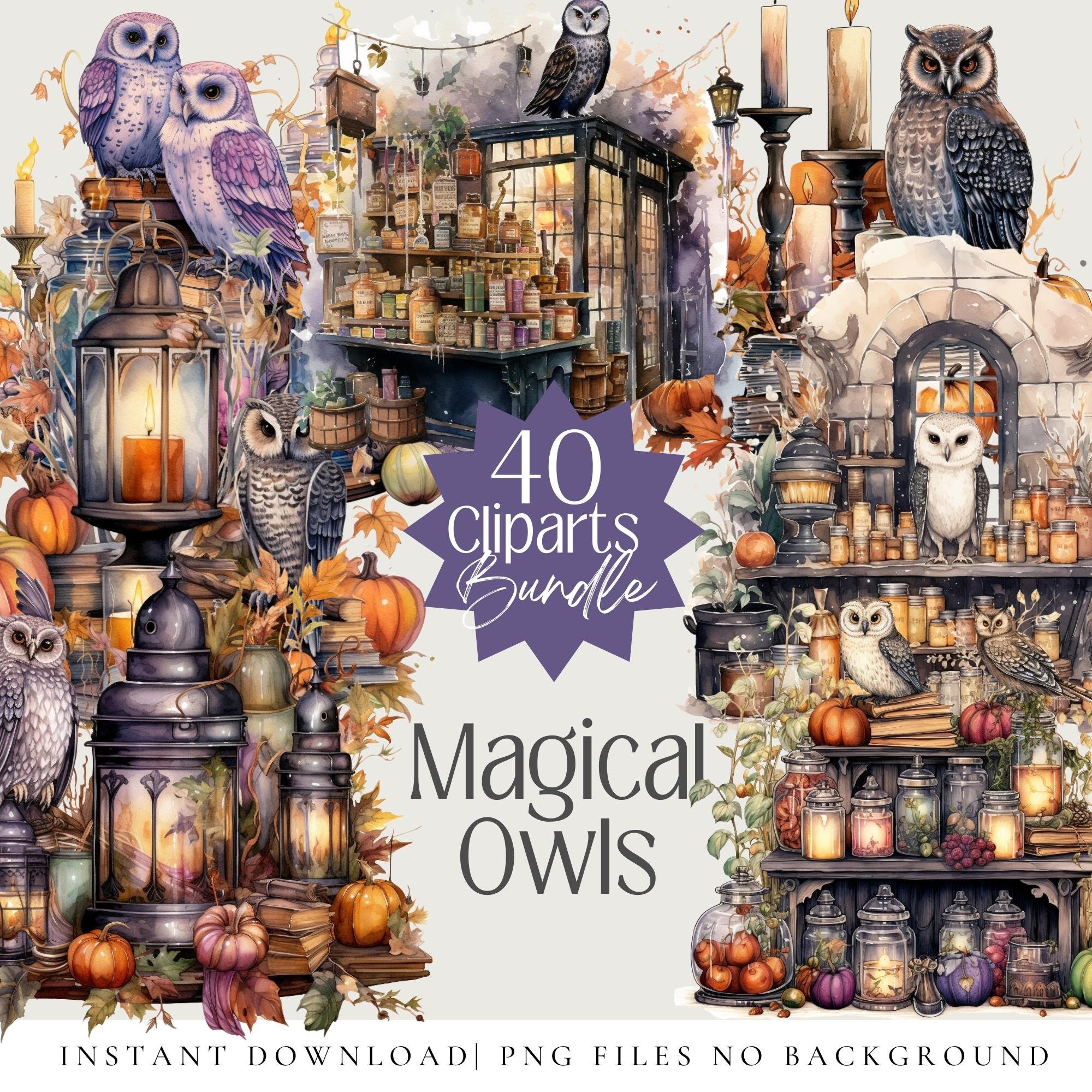 Magical Owls Witch Clipart Witchy Planner Stickers Wallpaper - Etsy