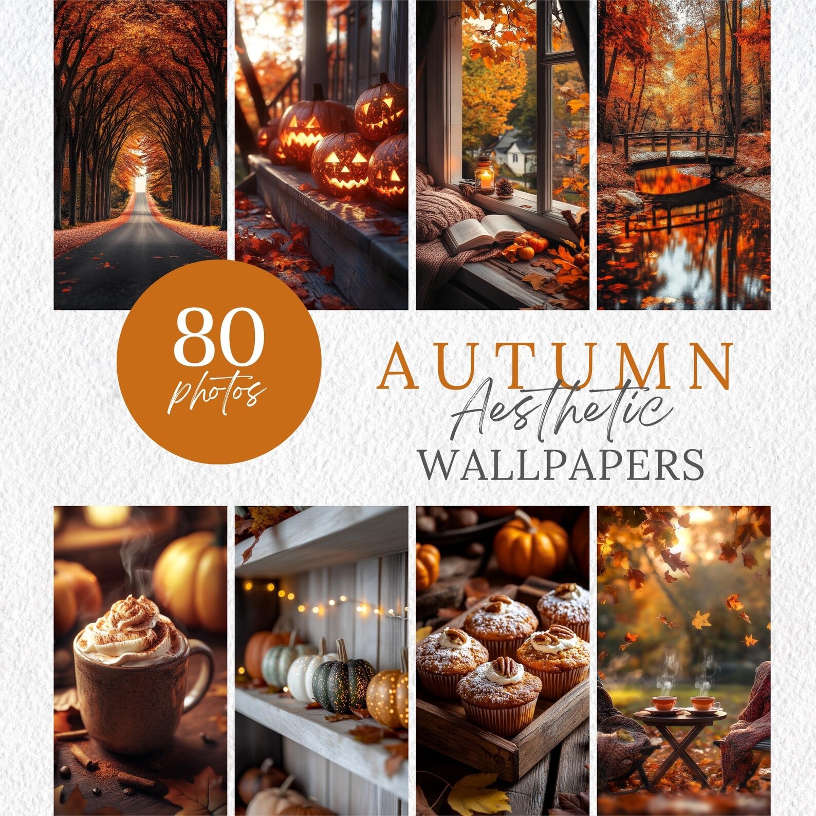 Fall Stock Photos for Instagram Cozy Autumn Aesthetic Wallpapers PNG ...