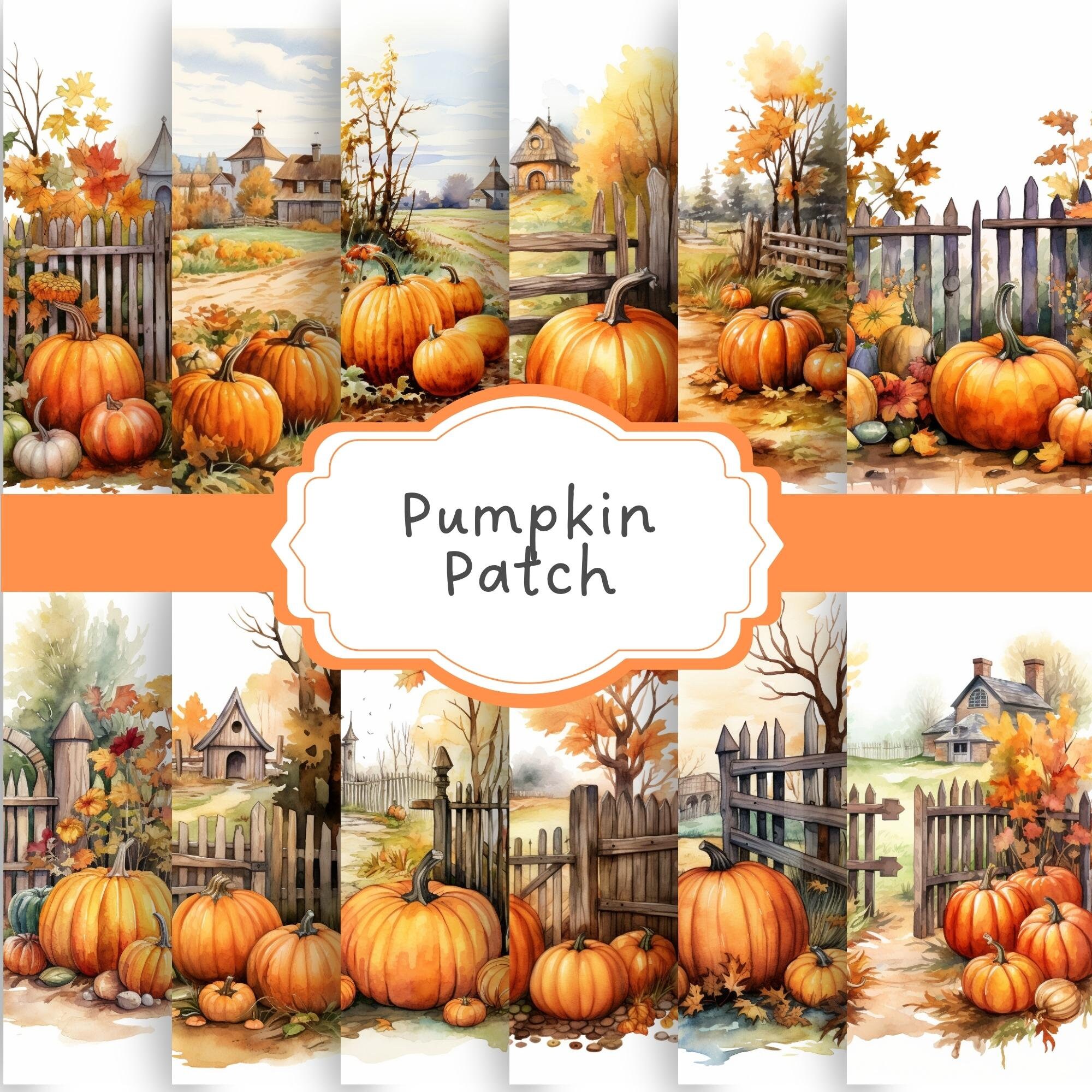 Pumpkin Patch Watercolor Clipart 50 PNG Fall Images, Autumn Graphics ...