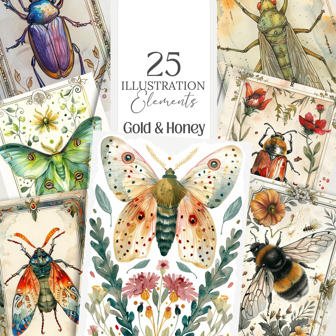 Insects Witchy Illustrations Cards Set Png for Digital Grimoire, Book ...