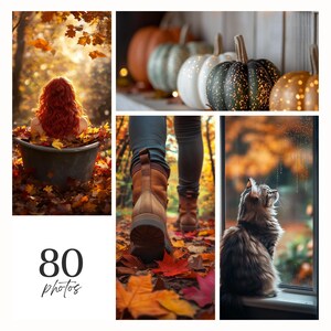 Fall Stock Photos for Instagram Cozy Autumn Aesthetic Wallpapers PNG ...